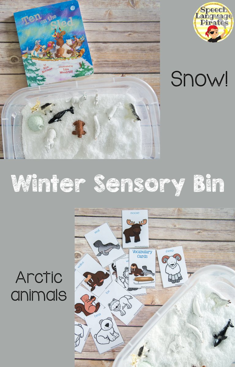 Arctic Sensory Bin - Speech Language Pirates