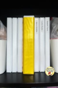 Storing Speech Therapy Materials